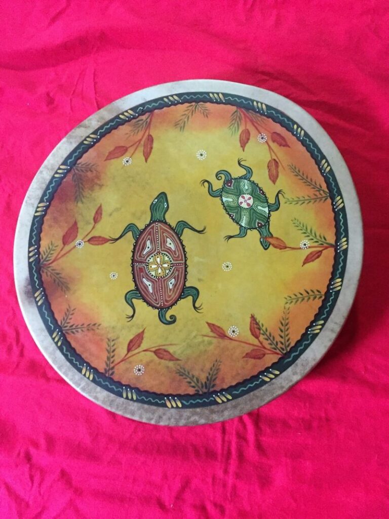 Turtles – Cedar Mountain Drums